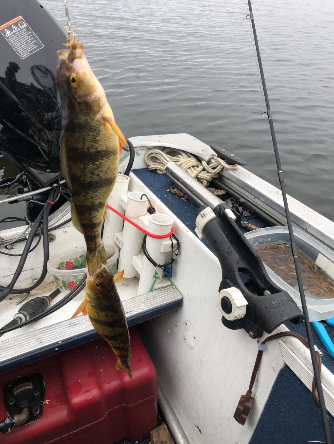 Manistee, Lake Michigan Salmon tackle and Salmon Buster spoons with ...